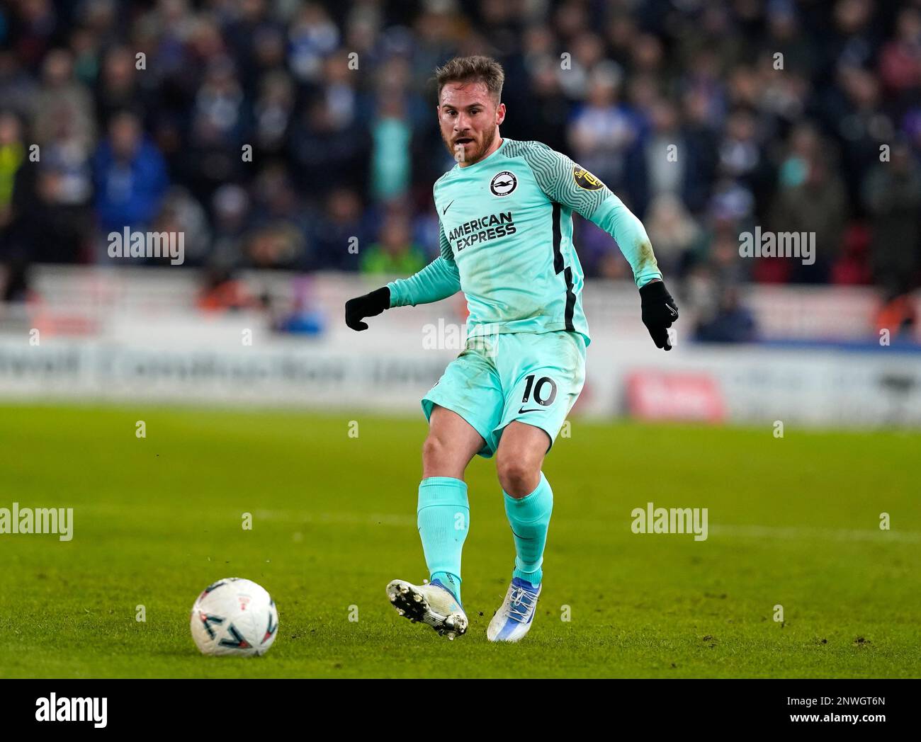 Alexis mac allister brighton 2023 hi-res stock photography and images ...