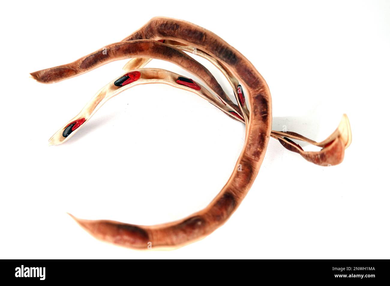 San agustin gran canaria Cut Out Stock Images & Pictures - Alamy