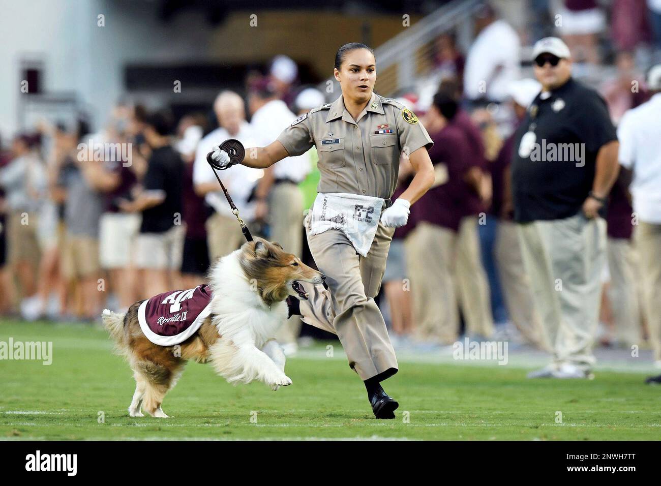 In this Aug. 30, 2018 photo, Mia Miller and Reveille IX run onto Kyle ...
