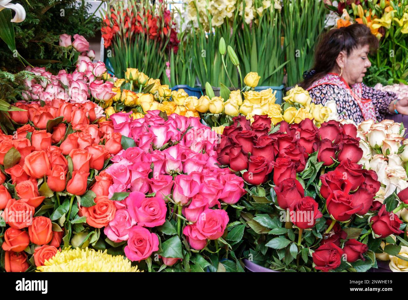 San Miguel de Allende Guanajuato Mexico,Historico Central historic ...