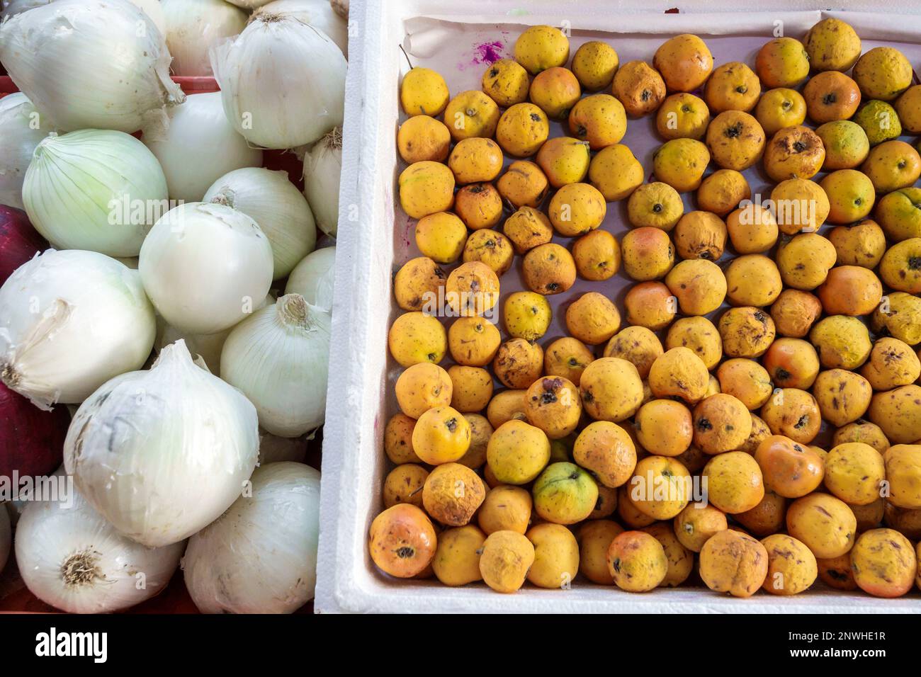 San Miguel de Allende Guanajuato Mexico,Historico Central historic ...