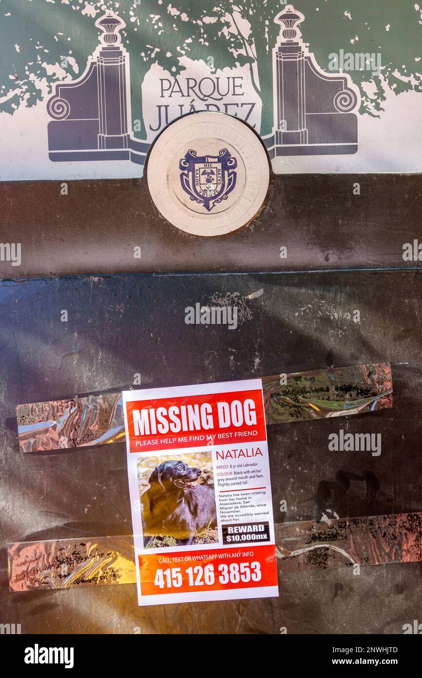 San Miguel de Allende Guanajuato Mexico,Historico Central historic ...