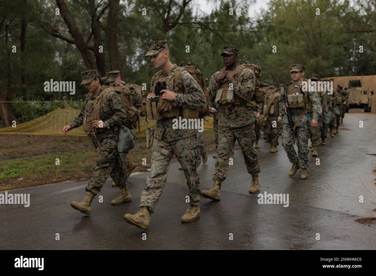 U.S. Marines with Marine Aviation Logistics Squadron 36, 1st Marine ...