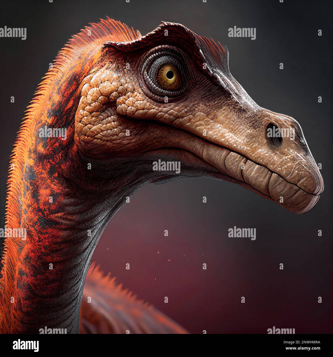 Gallimimus face hi-res stock photography and images - Alamy