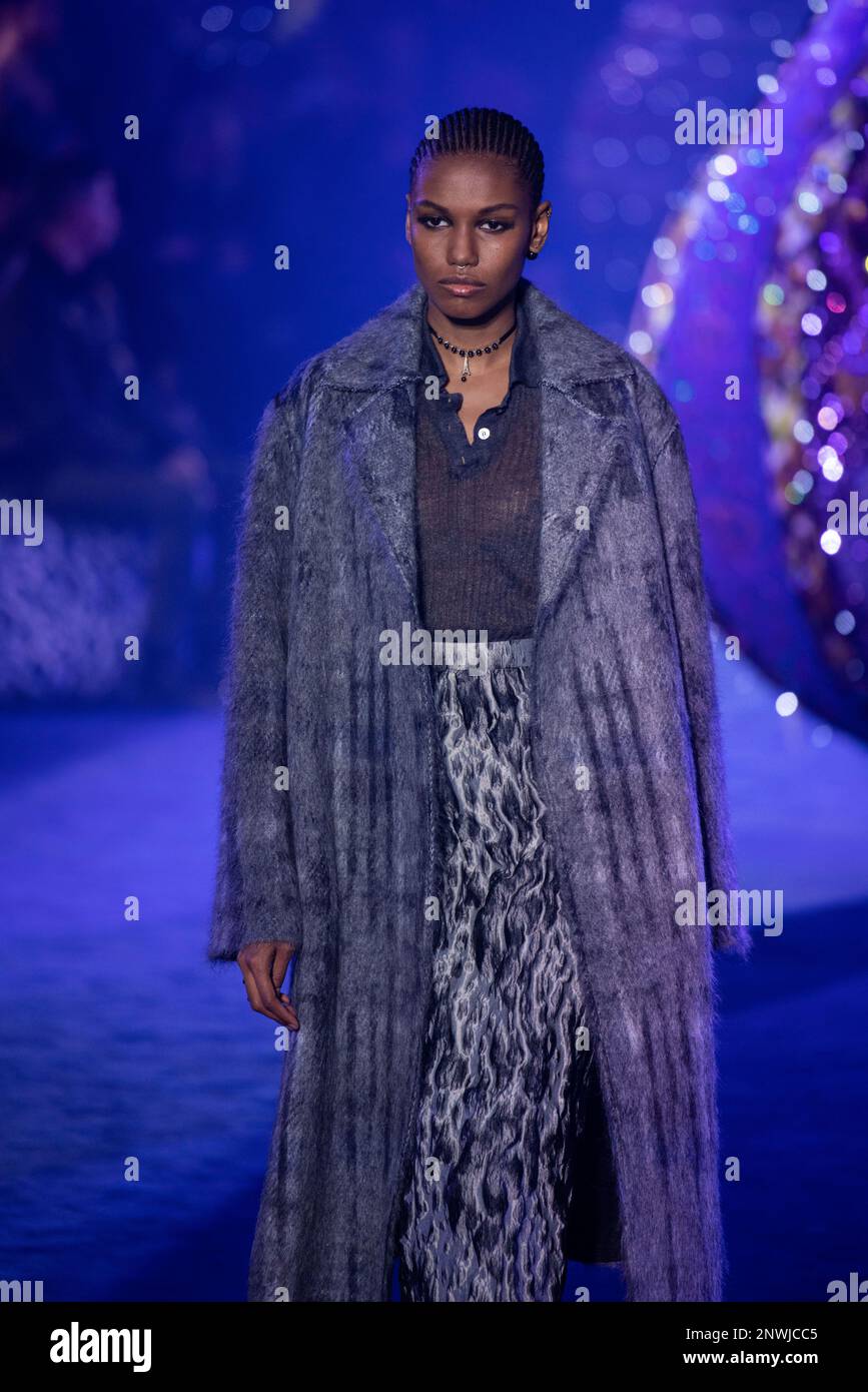 A model wears a creation as part of the Christian Dior Fall/Winter 2023 ...