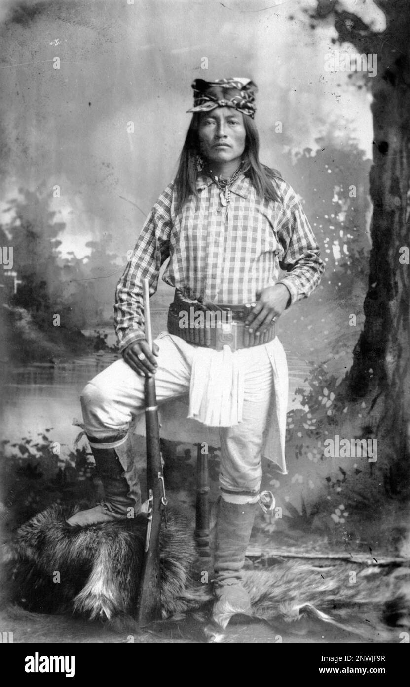 Dutchy hi-res stock photography and images - Alamy