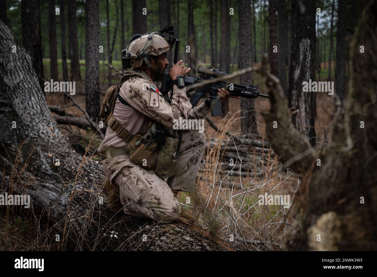 Soldiers from the United Arab Emirates 11th Mountain Battalion and 3rd ...