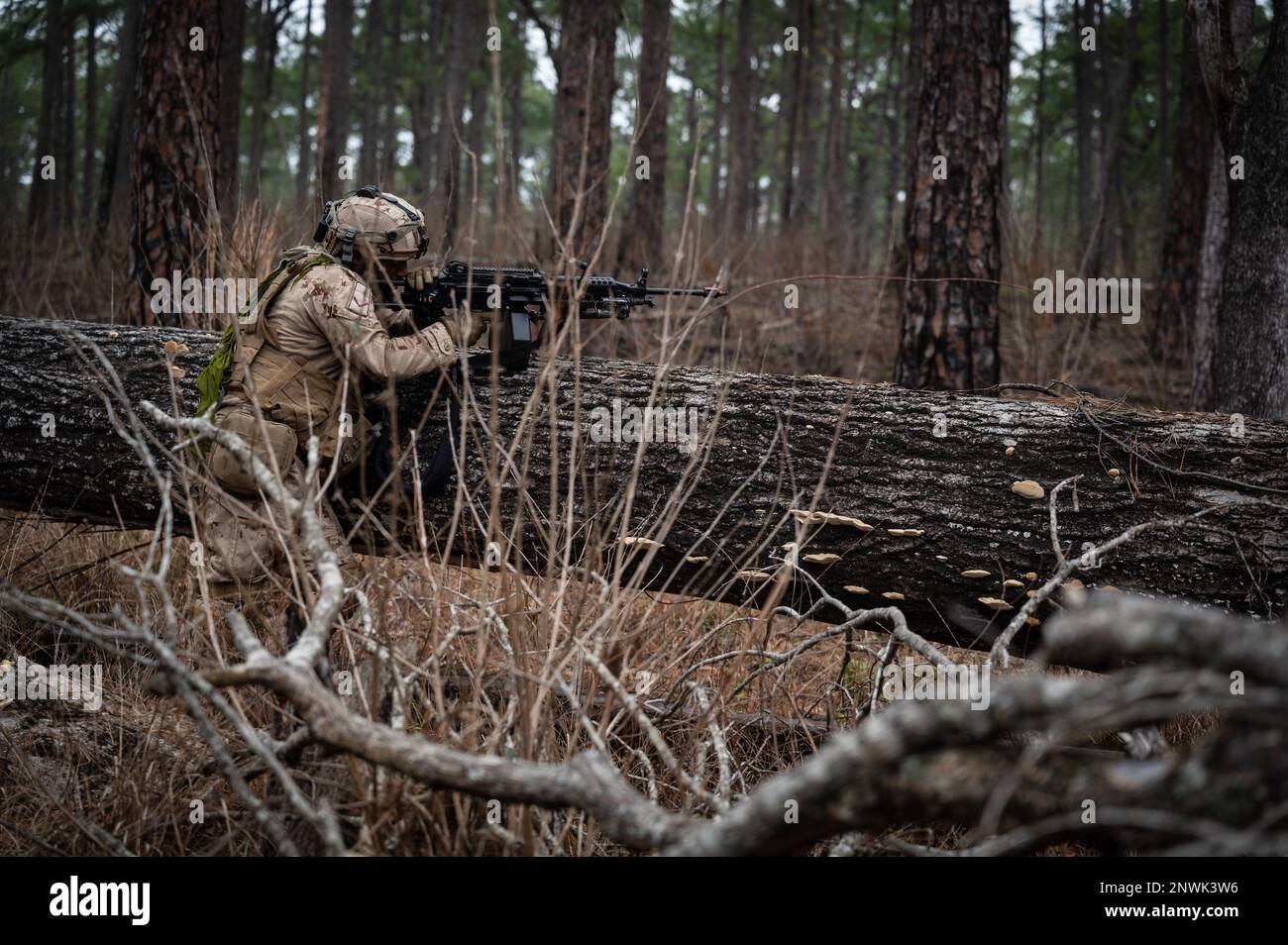 1 509th hi-res stock photography and images - Alamy