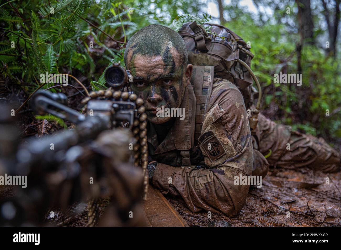 325th airborne infantry regiment hi-res stock photography and images ...
