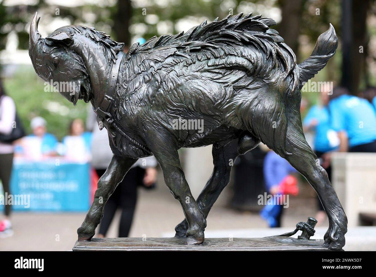 The new goat, unveiled on Friday, sits on display in Rittenhouse Square ...
