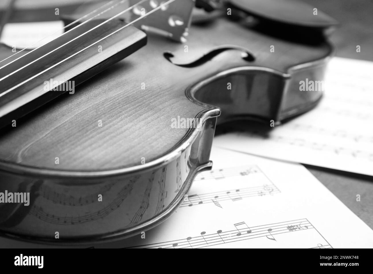 Beautiful violin and note sheets on table, closeup. Black and white ...
