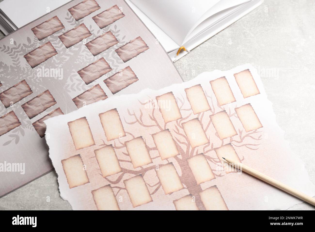 Blank family tree charts, notebook and pencil on grey table, closeup ...
