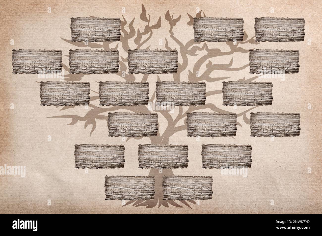 Family tree with empty frames for photos in vintage style, illustration ...