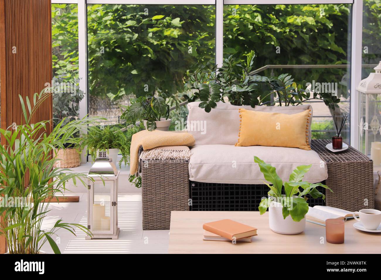 Indoor terrace interior with modern furniture and houseplants Stock ...