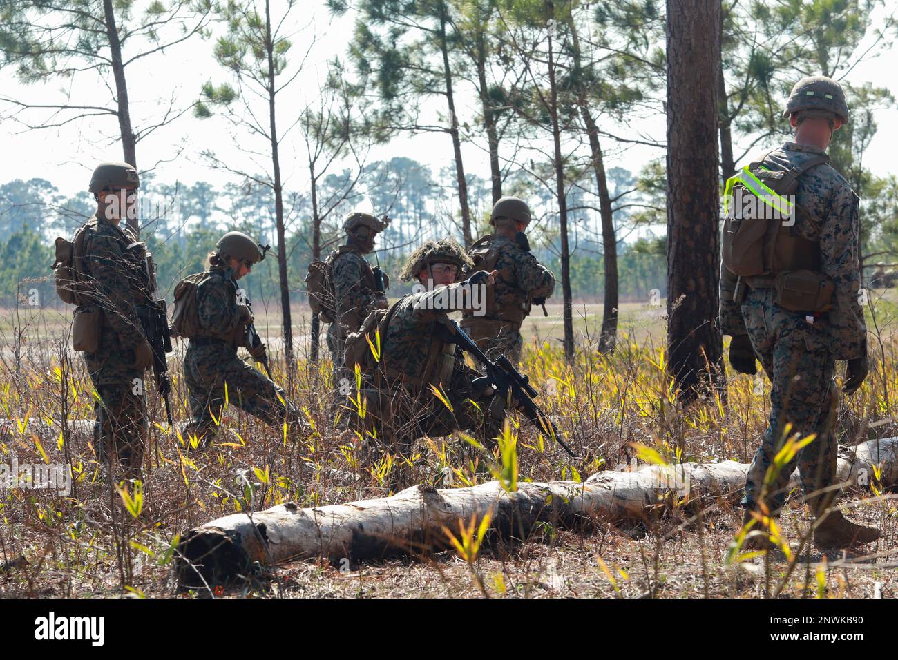 Marine corps combat instructor school hi-res stock photography and ...