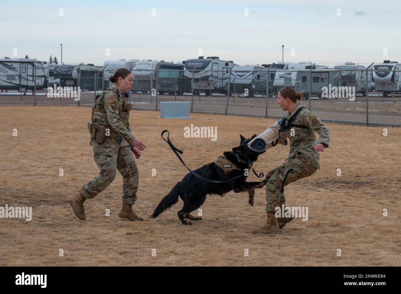 Staff Sgt. Meagan Crosby, 90th Security Forces Squadron military ...