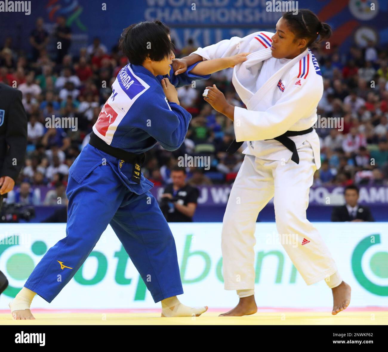 Japan's Tsukasa YOSHIDA (blue) competes in the final match of Women's ...