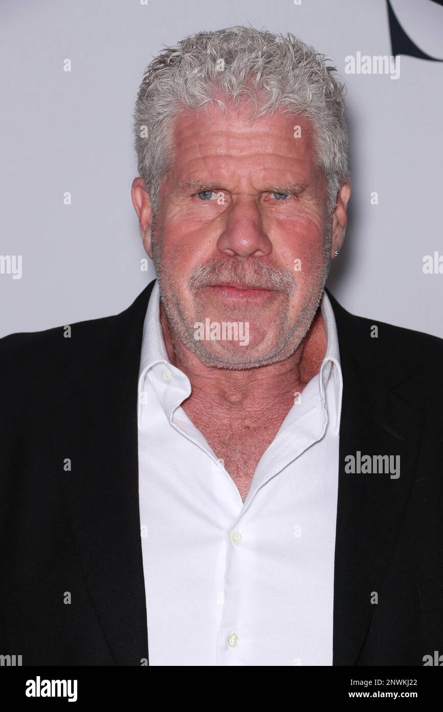 Photo by: John Nacion/STAR MAX/IPx 2018 9/21/18 Ron Perlman at the ...