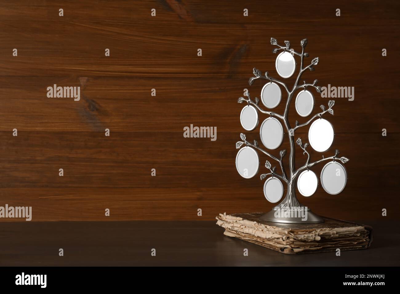 Ancestry chart hi-res stock photography and images - Alamy