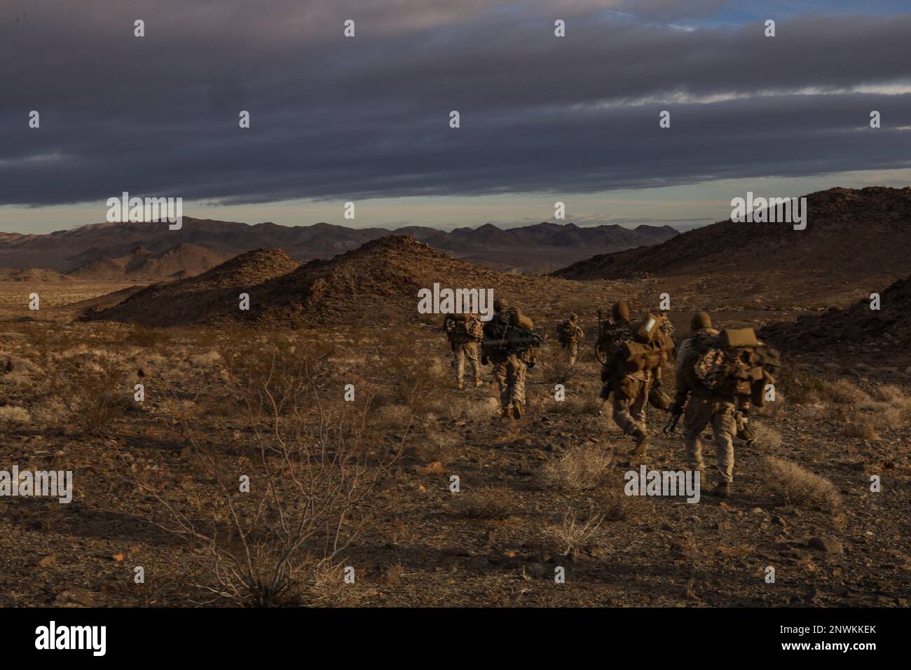 U.S. Marines with Fox Company, 2nd Battalion, 7th Marine Regiment (REIN ...