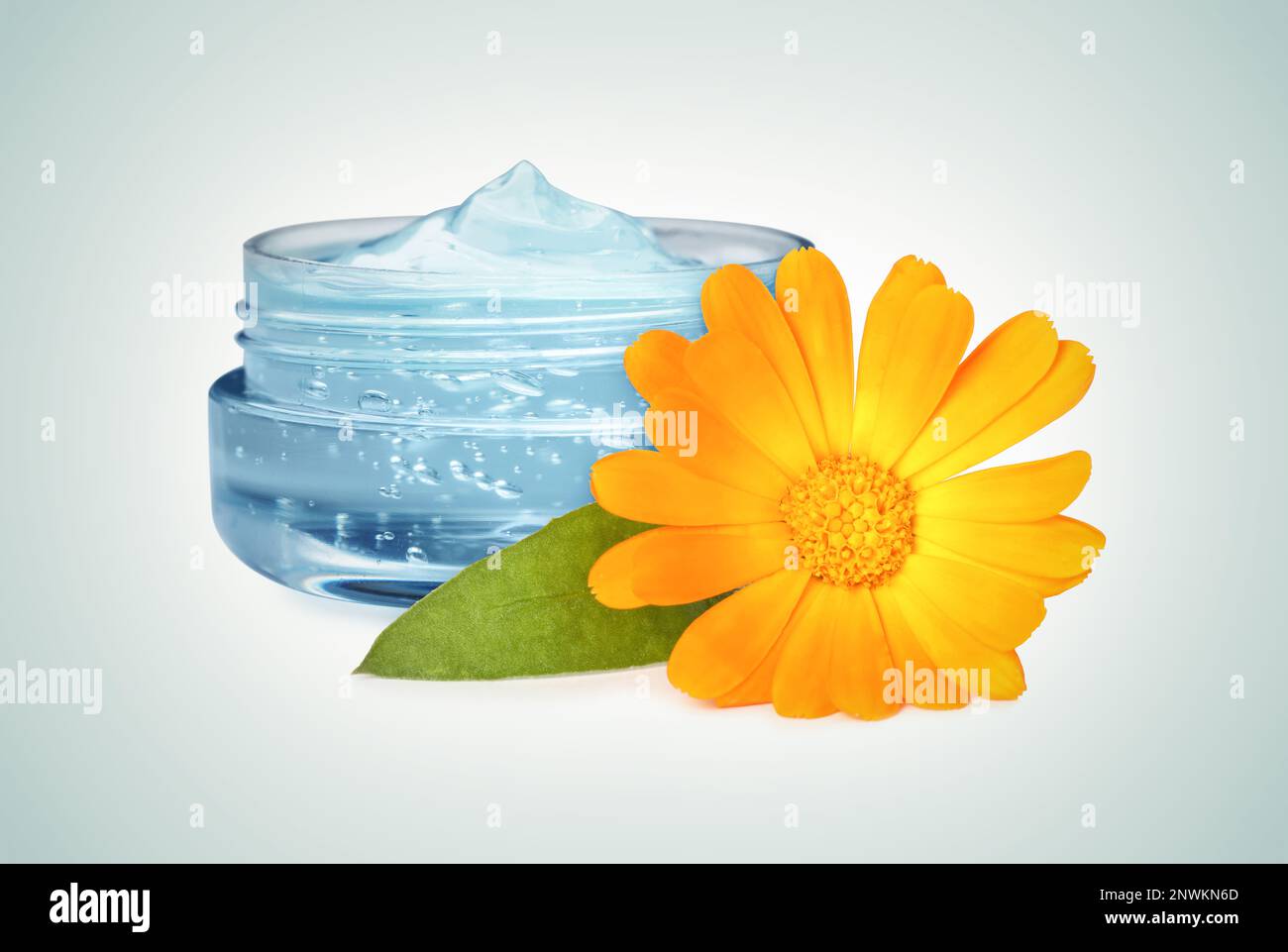 Transparent gel with calendula extract on light background. Natural ...