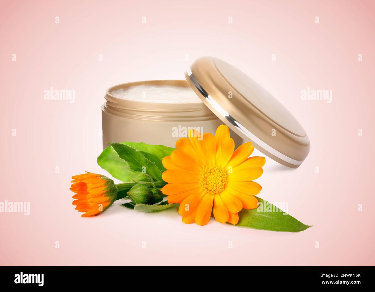 Body cream with calendula extract on pink background. Natural based ...
