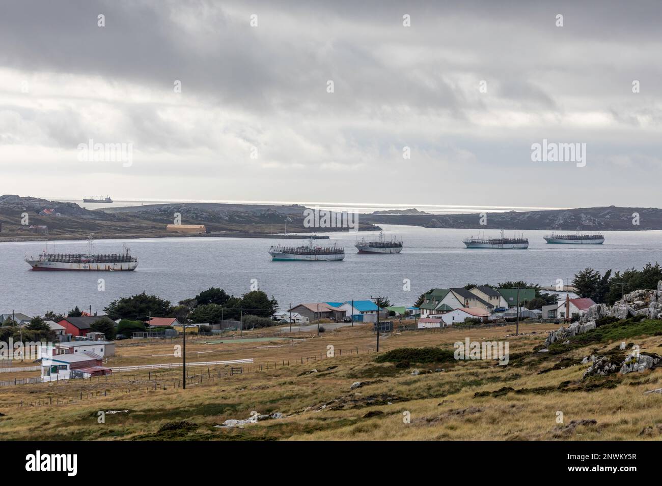 View overlooking Stanley Sound and Stanley Harbour on the Falkland ...