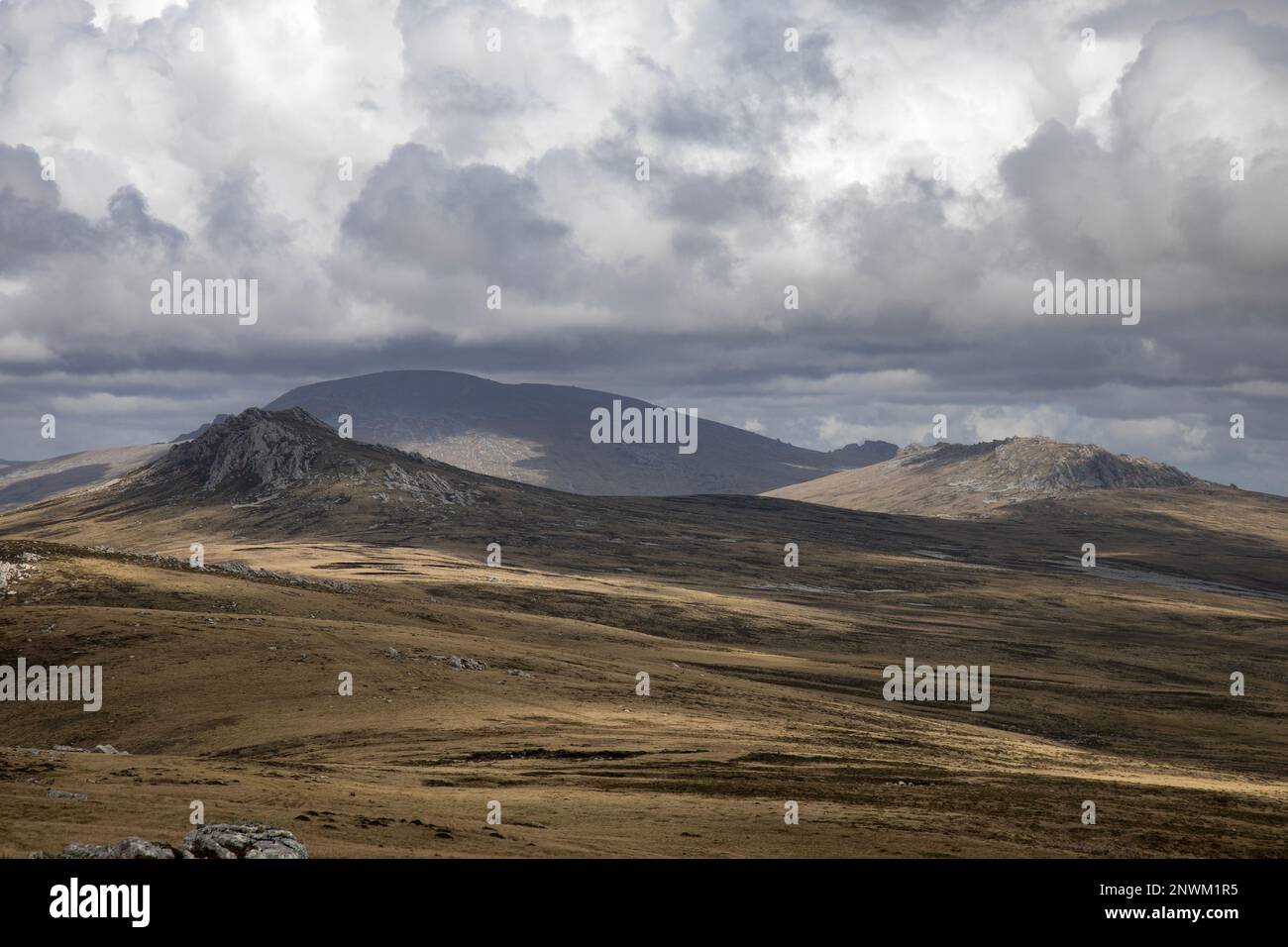 View looking over Mount Usborne, the highest peak on The Falkland ...