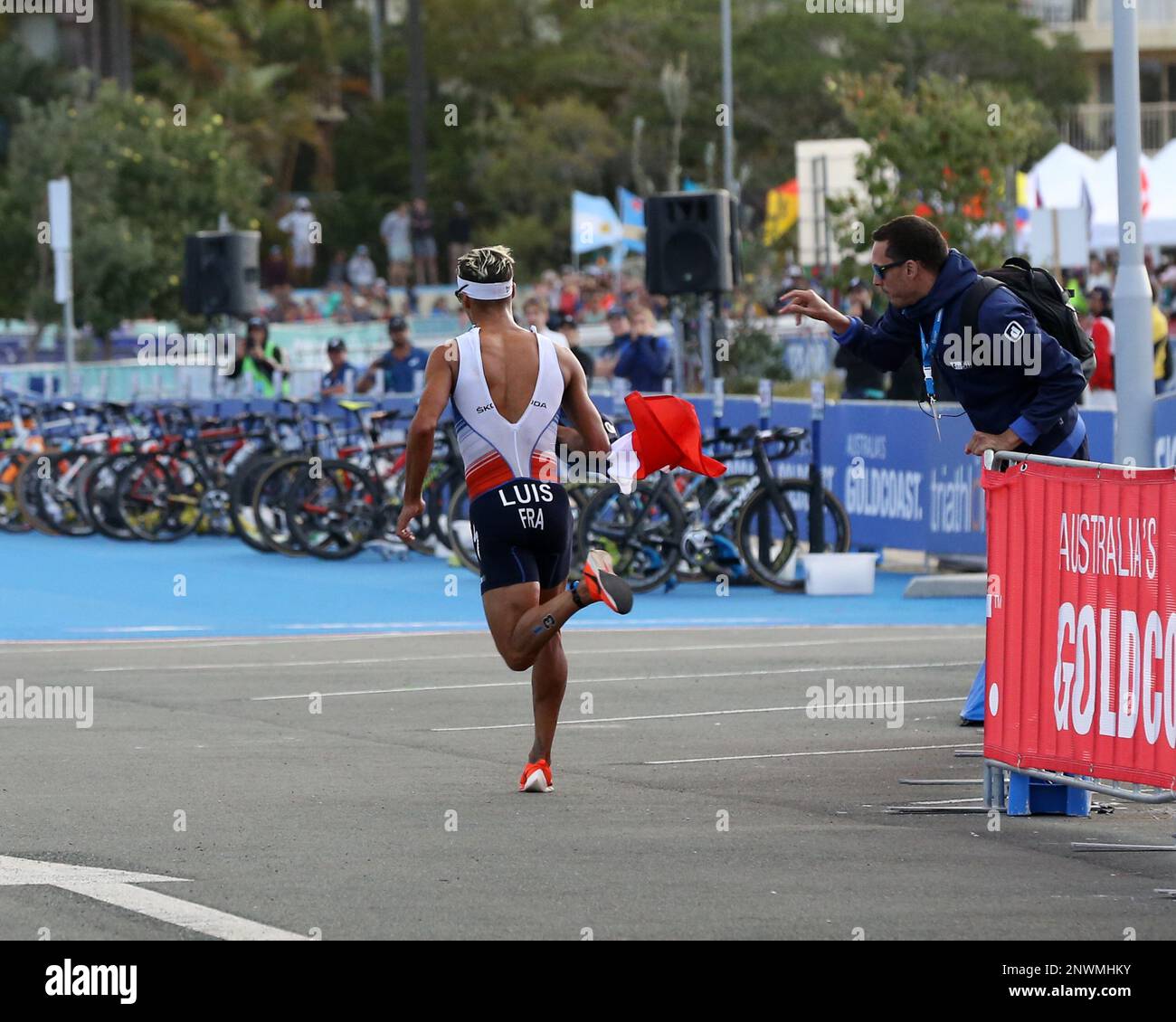 Vincent Luis, of France, wins the Elite Men Triathlon World ...