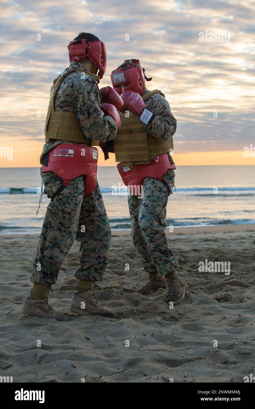 U.S. Marine Corps Cpl. Holden L. Mesimer, right, a Marine Air-Ground ...