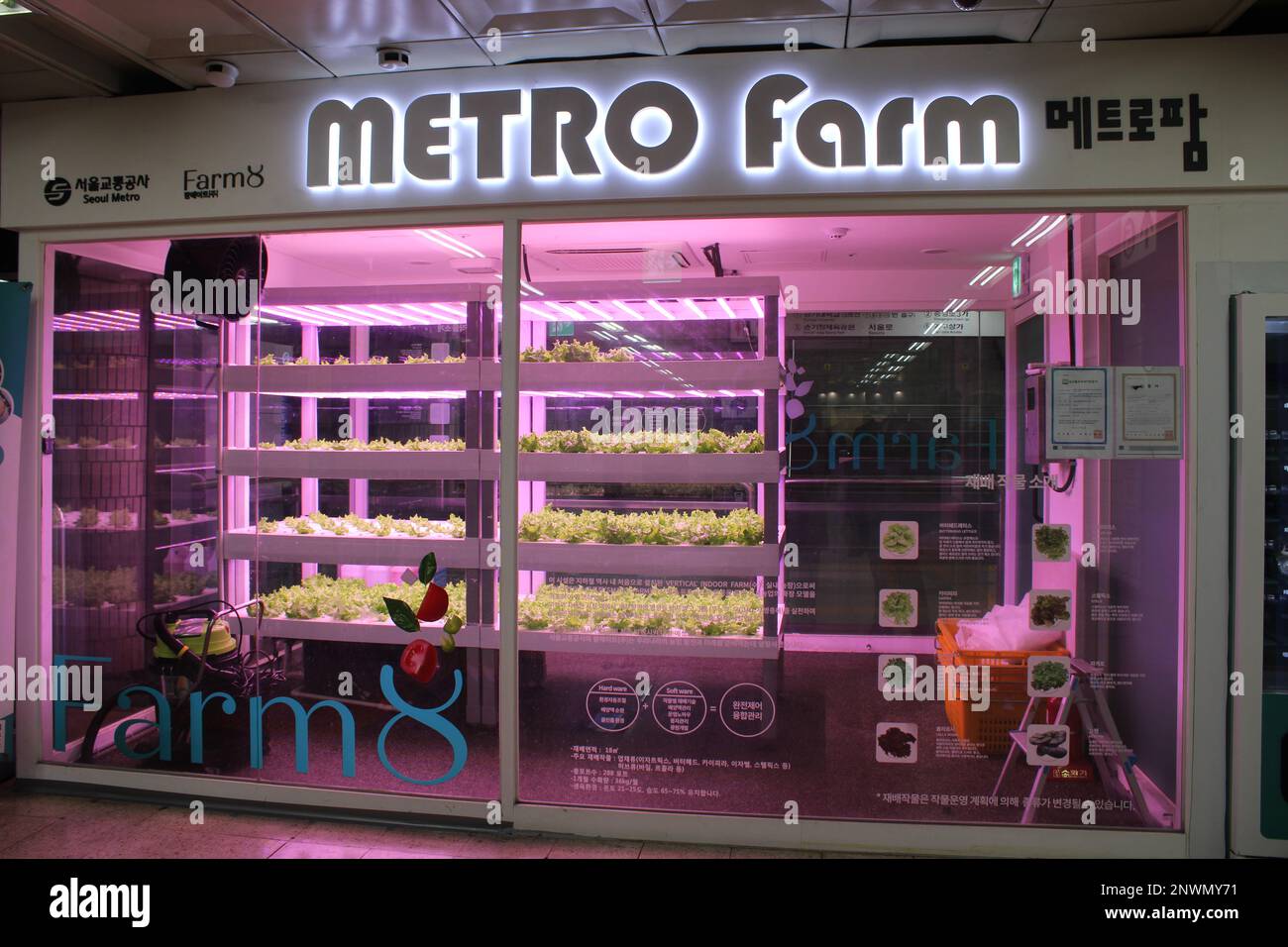 Metro Farm organic vegetable growing facility in underground subway ...