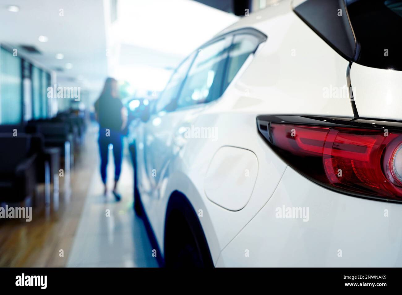 Rearview white SUV car in modern luxury showroom on blur customer. Car ...