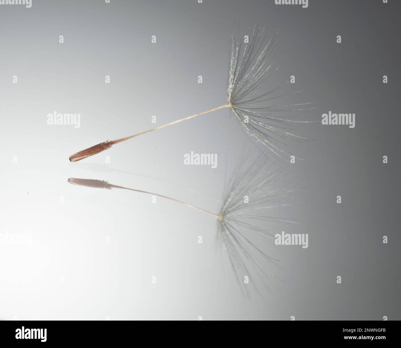 Spring season 2023 hi-res stock photography and images - Alamy