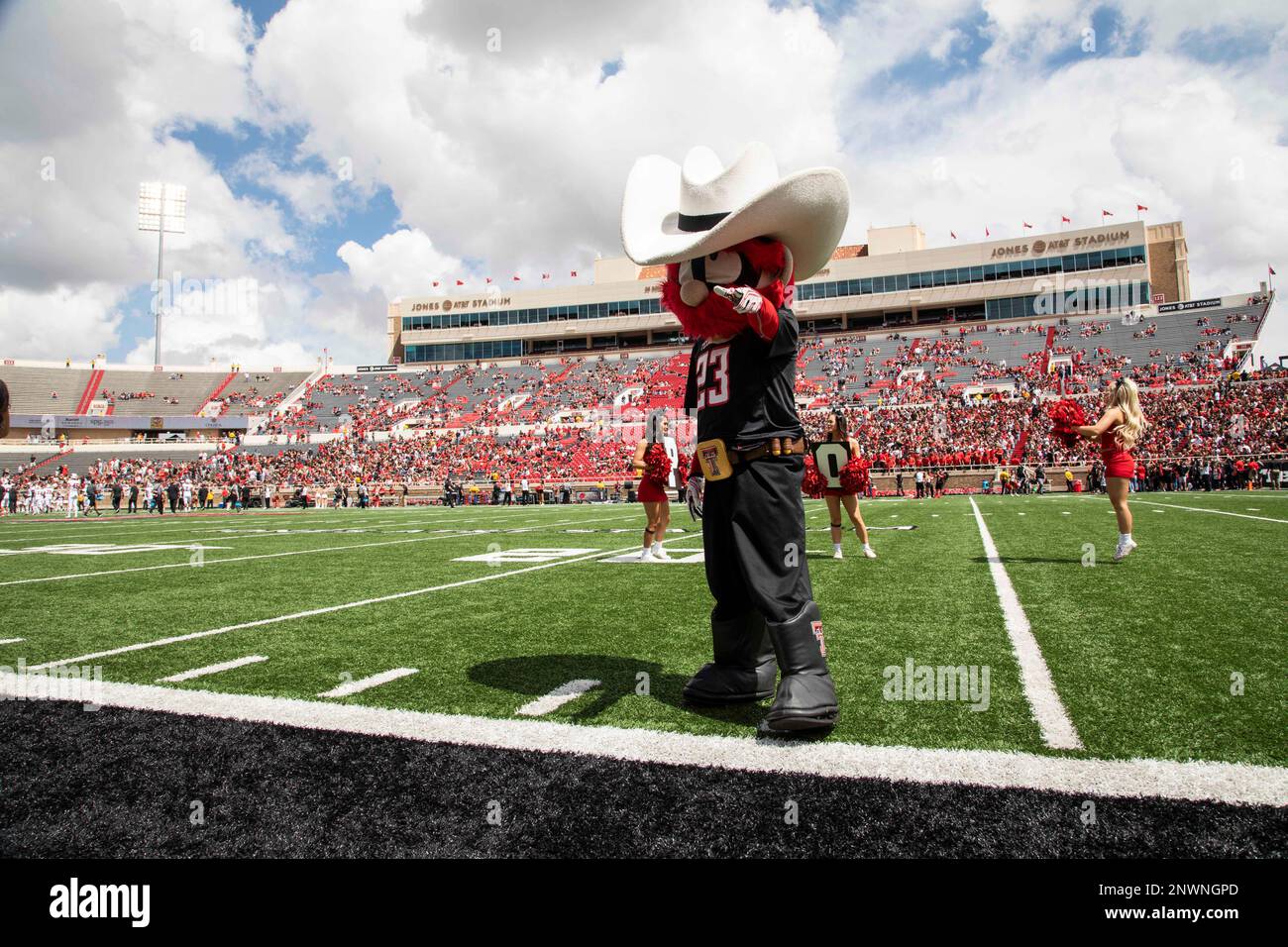 LUBBOCK, TX - SEPTEMBER 08: The Texas Tech mascot Raider Red at the ...