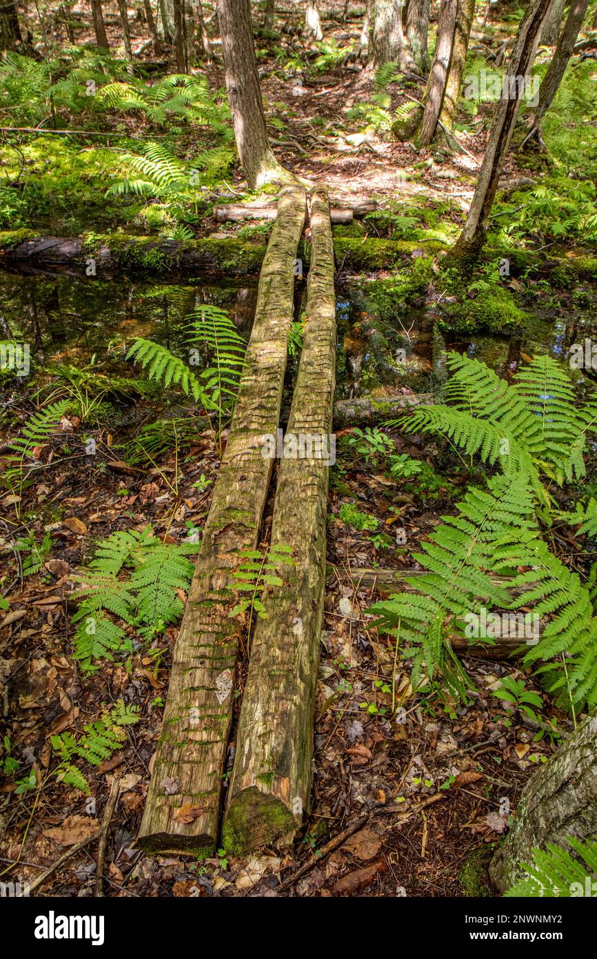 The Harris Center in Hancock, New Hampshire Stock Photo - Alamy