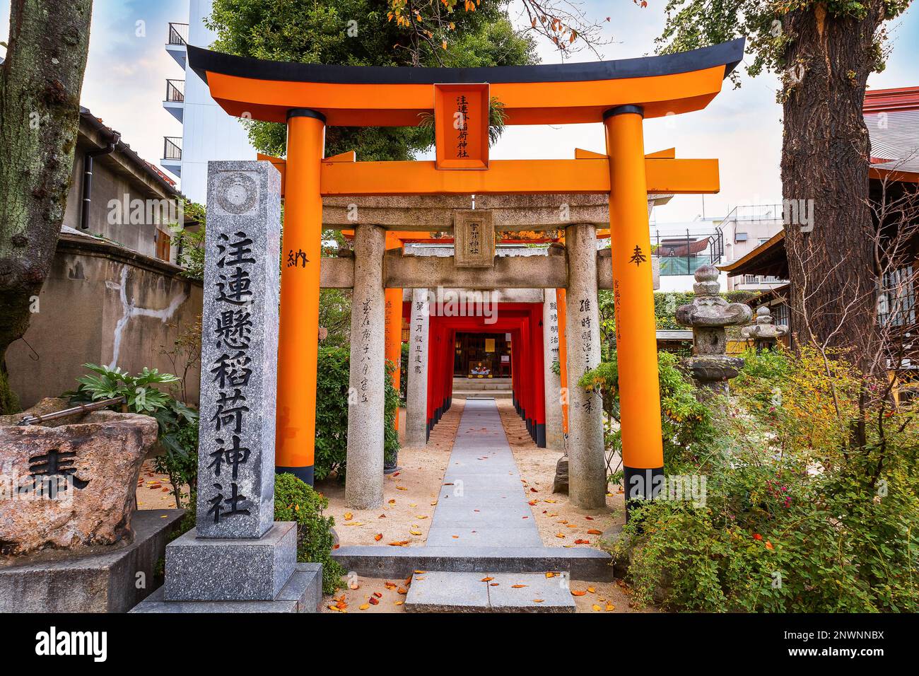 Fukuoka, Japan - Nov 20 2022: Kushida shrine in Hakata ward, founded in ...