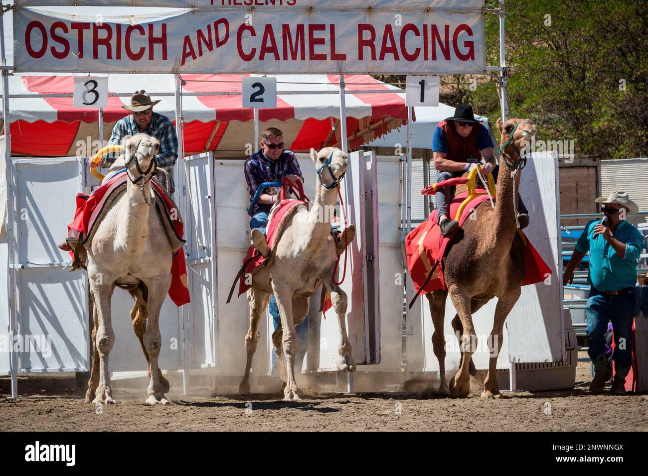 September 7, 2018 - Virginia City, Nevada, U.S - Friday, September 7 ...