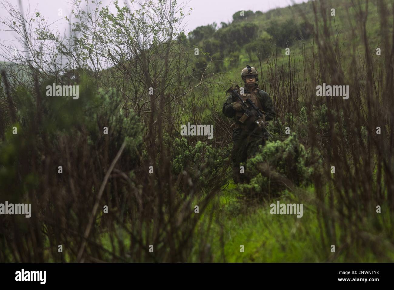 U.S. Marine Cpl. Jared Pleass, a team leader with Alpha Company, 3rd ...