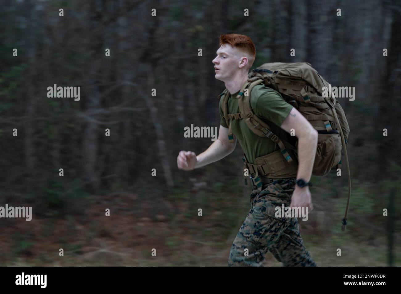 U.S. Marine Corps Lance Cpl. Jacob Helstrom, a heavy equipment operator ...