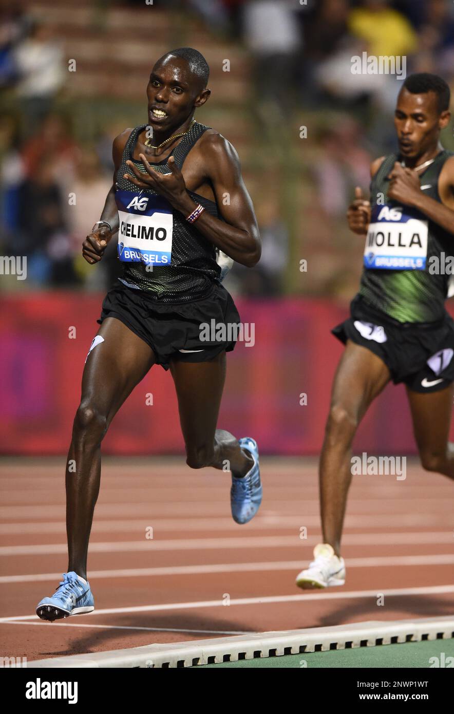 Paul Chelimo (USA) places sixth in the 5,000m in 12:57.55 in the 43nd Memorial Van Damme in an ...