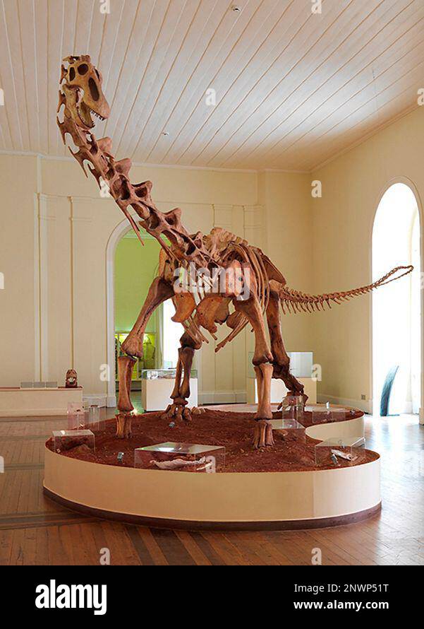 This undated handout photo provided by Brazil's National Museum shows a ...