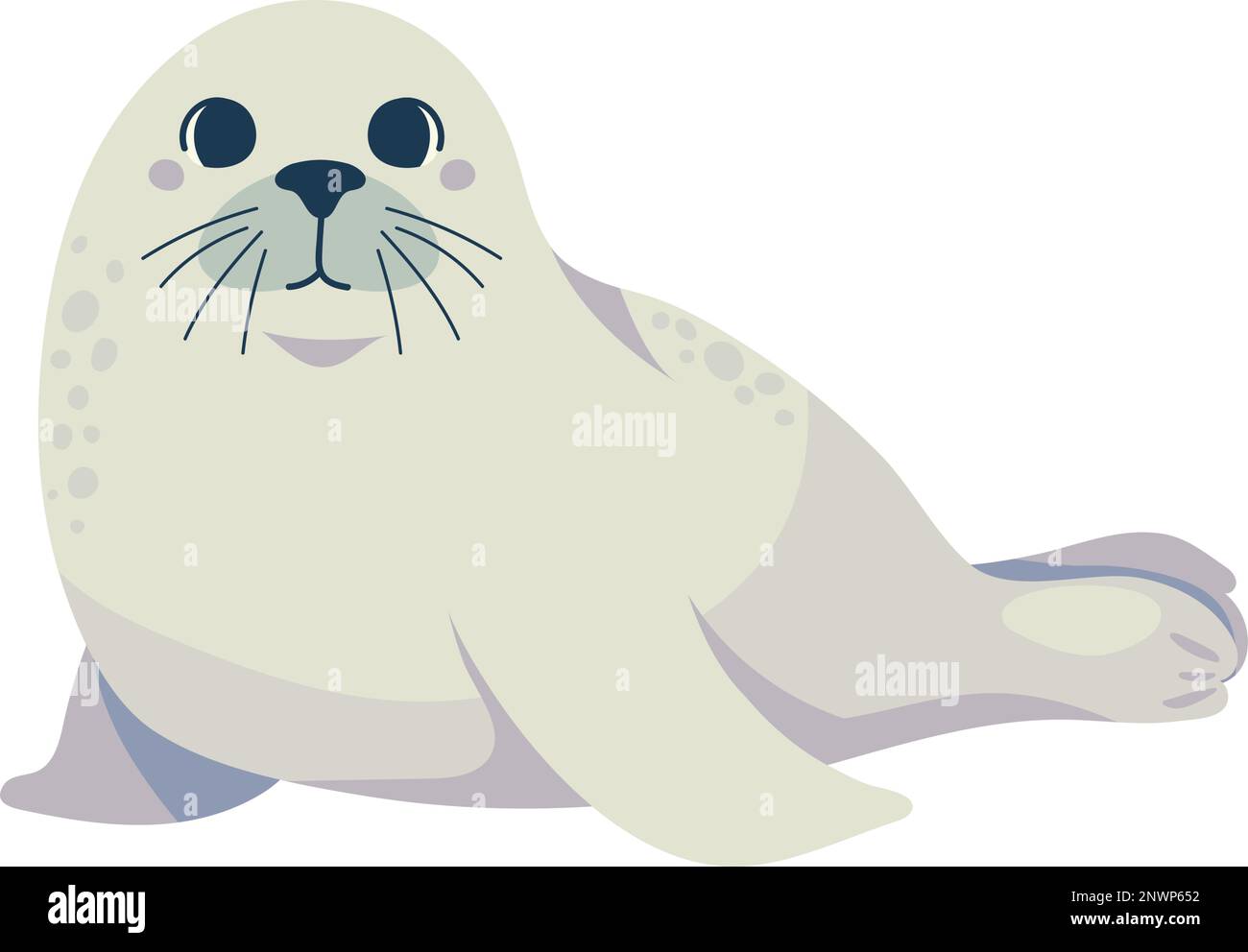 White seal snow cute Stock Vector Images - Alamy
