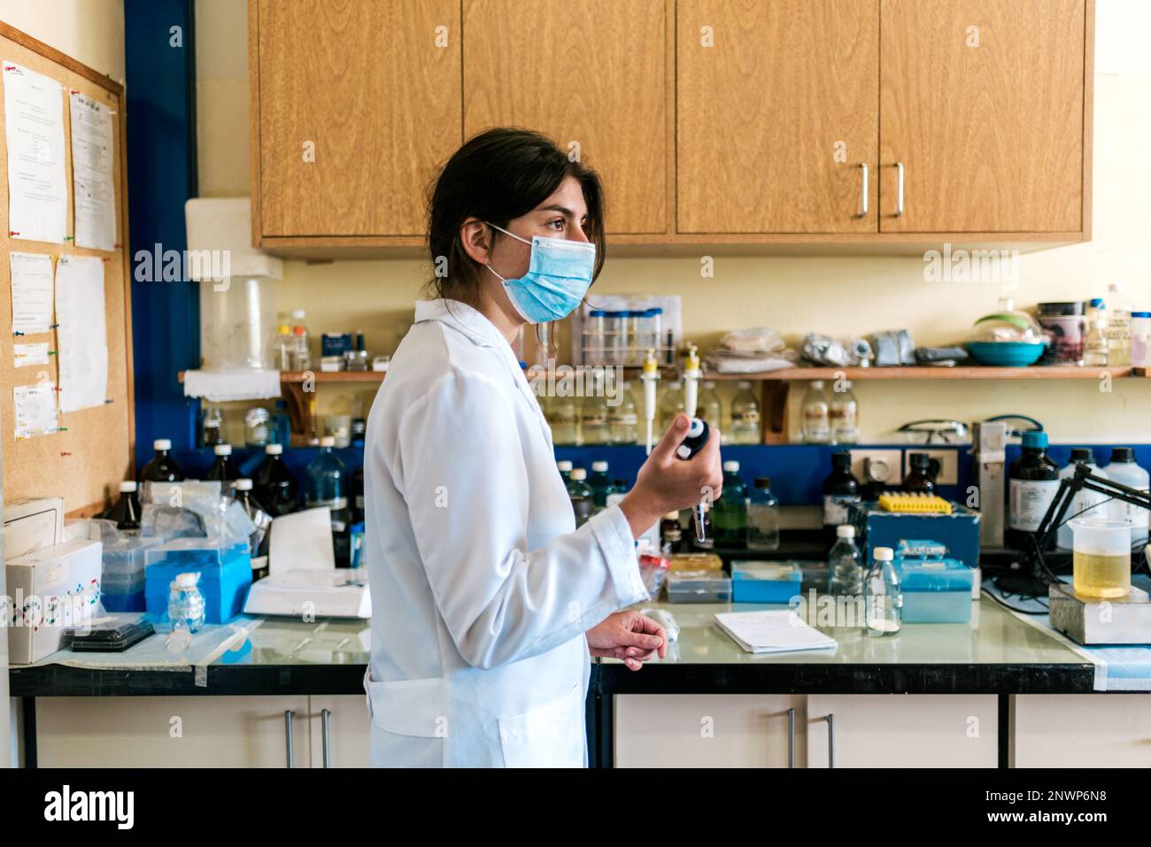 Female Scientist Working in Laboratory Stock Photo - Alamy