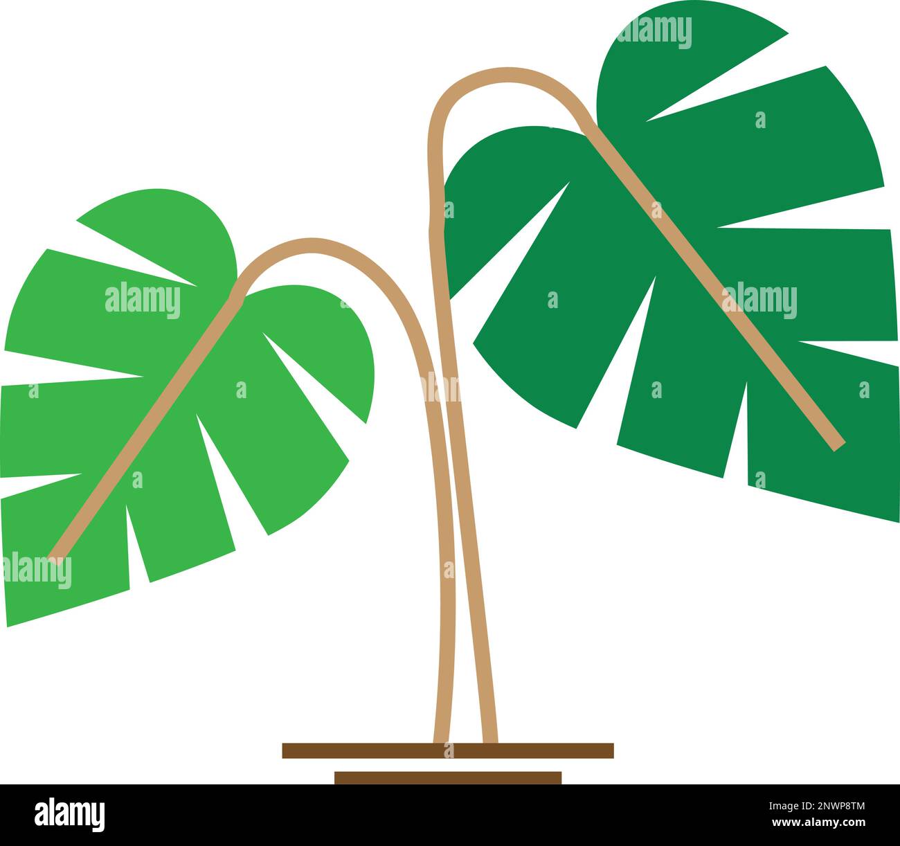 Monsterra plant hi-res stock photography and images - Alamy