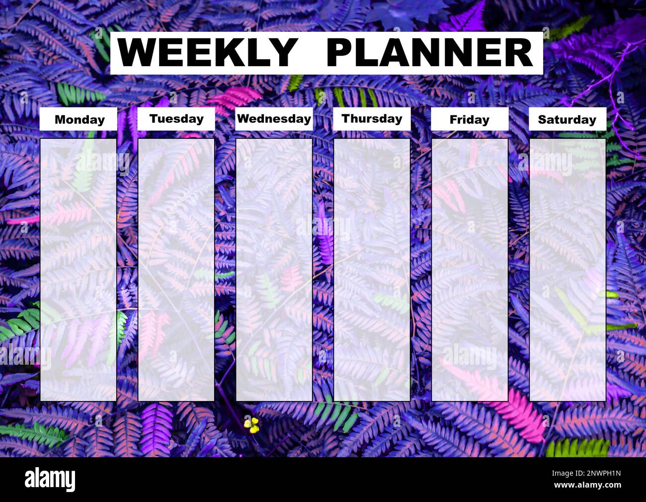 Beautiful weekly planner, school timetable education, can be used as an ...