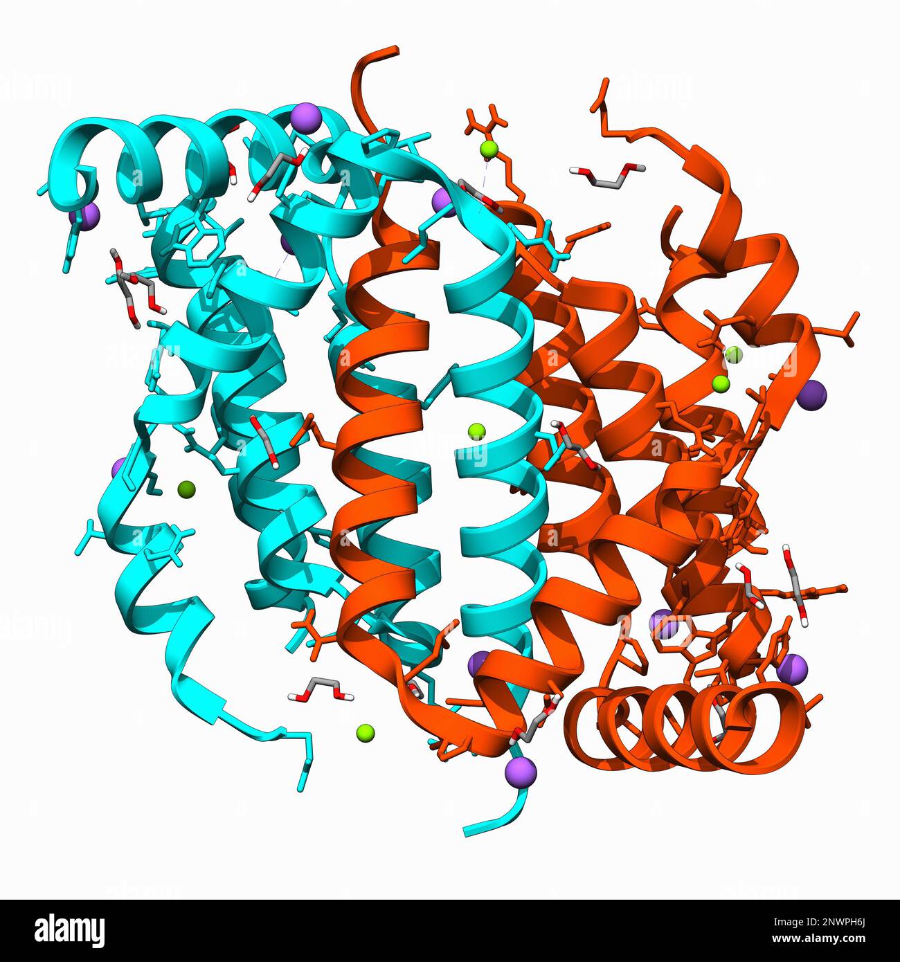 Apoptosis inhibitor ORFV125, illustration Stock Photo - Alamy