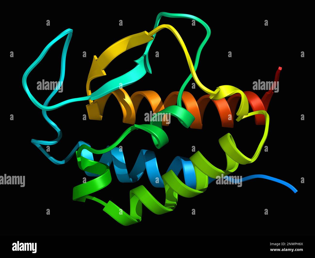 Human interleukin-9, illustration Stock Photo - Alamy