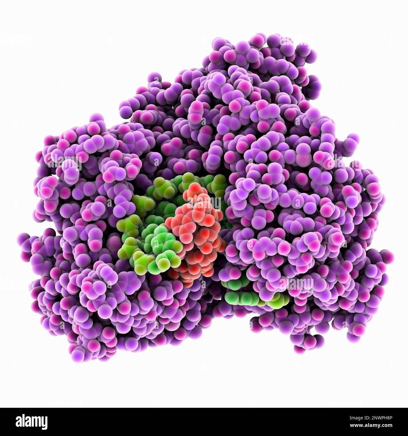Dengue virus 2 NS5 complex, illustration Stock Photo - Alamy