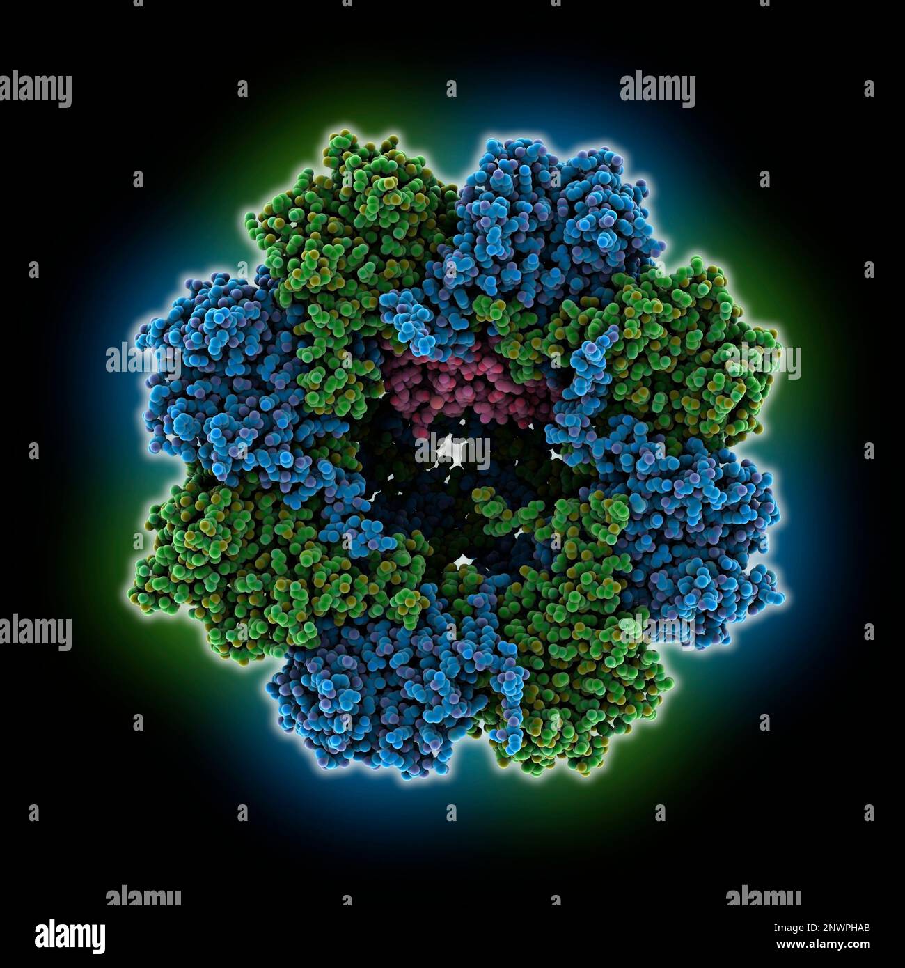 Beta-tubulin folding intermediate, illustration Stock Photo - Alamy