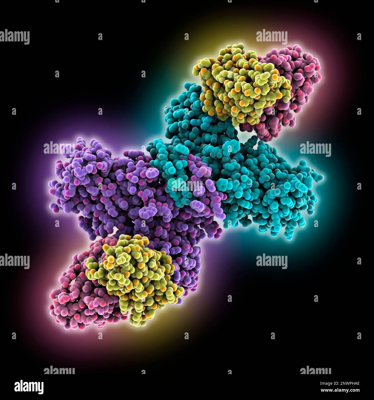 Dengue virus NS1 protein complex, illustration Stock Photo - Alamy
